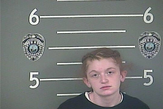 Two of three charged in Johnson meth conspiracy plead guilty | News ...