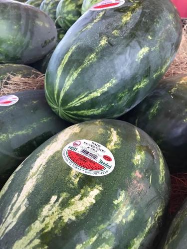 Pennington Watermelons have arrived | News | palestineherald.com