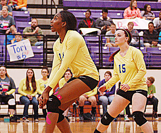 Oakwood volleyball falls to North Zulch in Region III quarterfinal ...