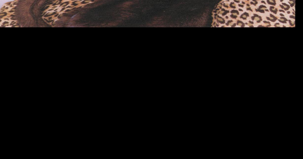 Celebrating Women's History Month:Alice Mae Crawford wore many hats in ...