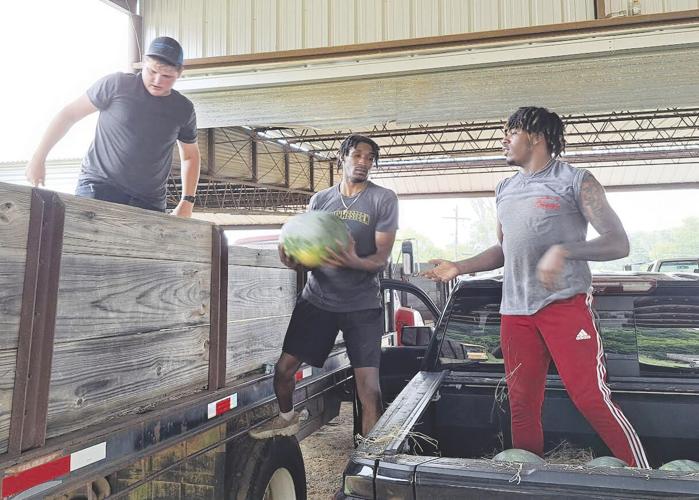 Pennington Watermelons have arrived | News | palestineherald.com