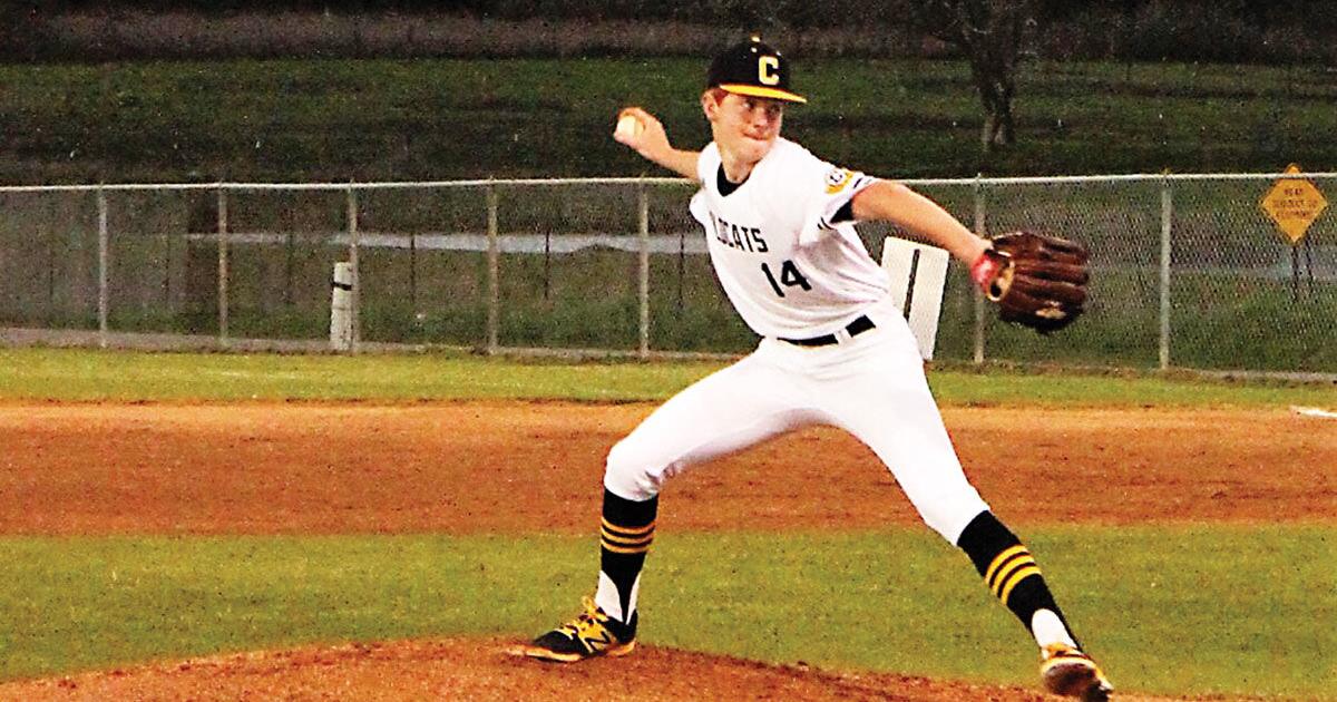 High school baseball: Pate, Cayuga solve Hubbard | Sports ...