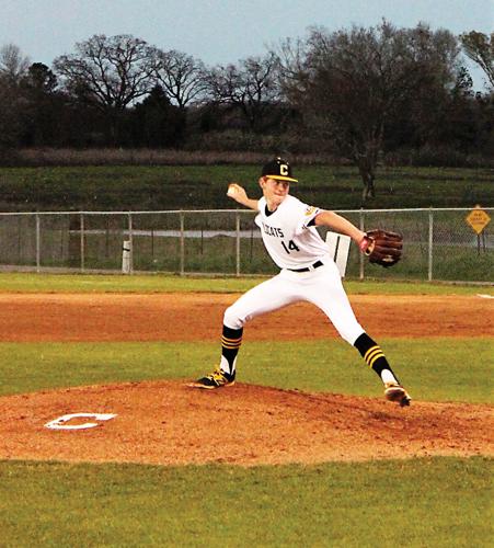 High school baseball: Pate, Cayuga solve Hubbard | Sports ...