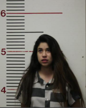 Deputies nab suspected burglars in drug case | News | palestineherald.com