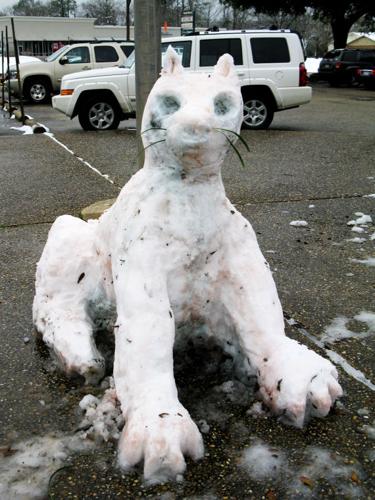 Palestine Wildcat Snowman | Local News | palestineherald.com