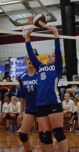 Oakwood volleyball collapses to Chester in region quarterfinal | Sports ...