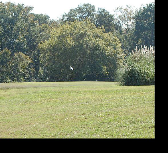 Old golf club gets a mulligan thanks to Palestine ISD, volunteers ...