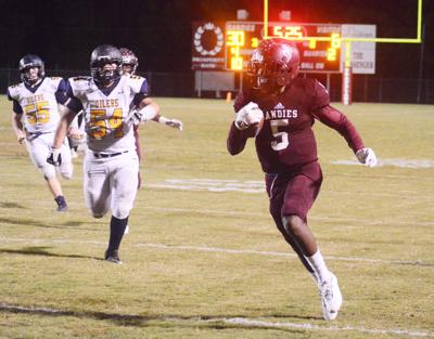 High school football: Week Ten Honor Roll | Sports | palestineherald.com