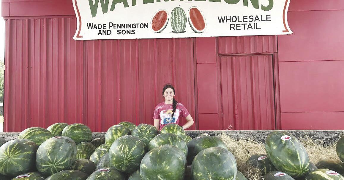 Pennington Watermelons have arrived | News | palestineherald.com