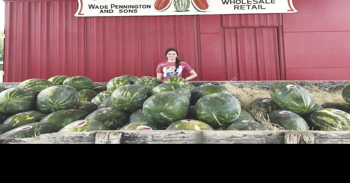Pennington Watermelons have arrived | News | palestineherald.com