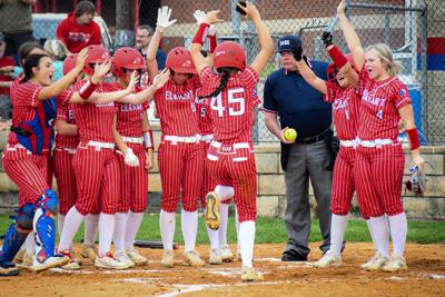 High school softball: Holland's three-run homer highlights Lady Elks ...