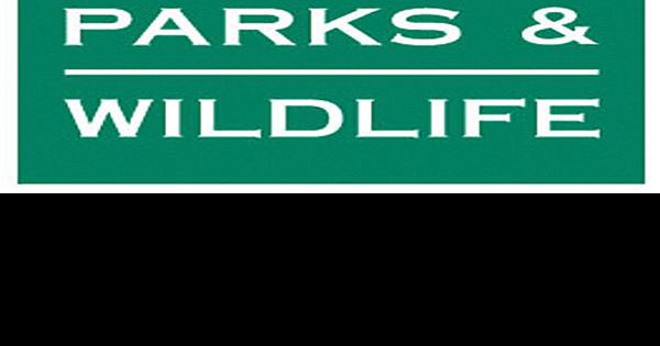 TPWD Announces Accessibility Initiative | News | palestineherald.com