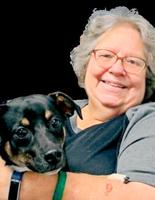 Most BARC dogs will be spared | News | palestineherald.com