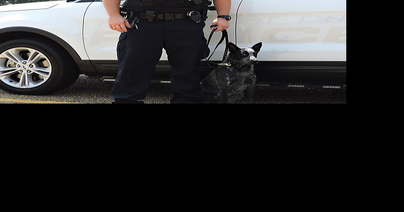 PPD pushing city's drug problem to other agencies | News ...