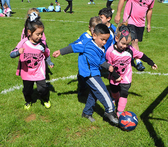 Palestine YMCA Alex Patel Soccer Complex opens for games | Sports ...