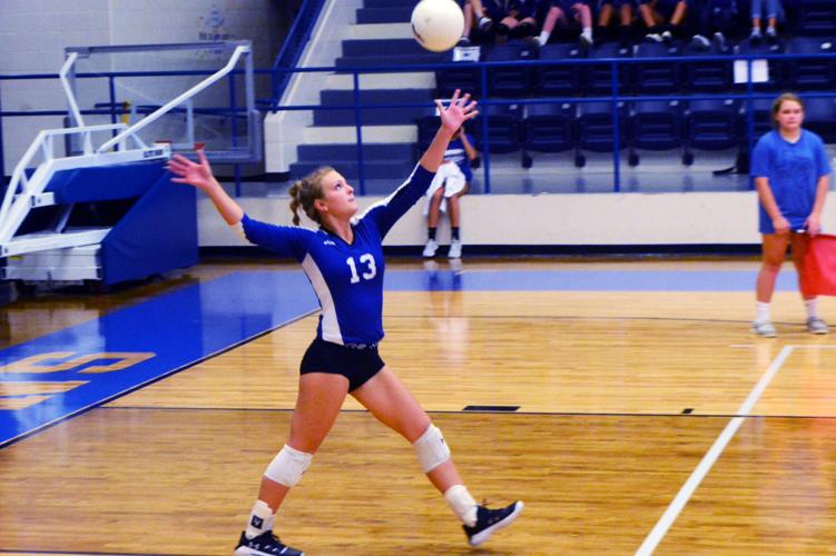 High school volleyball: Frankston's Ramsey claims District MVP award ...