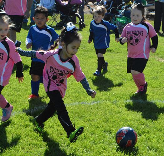 Palestine YMCA Alex Patel Soccer Complex opens for games | Sports ...