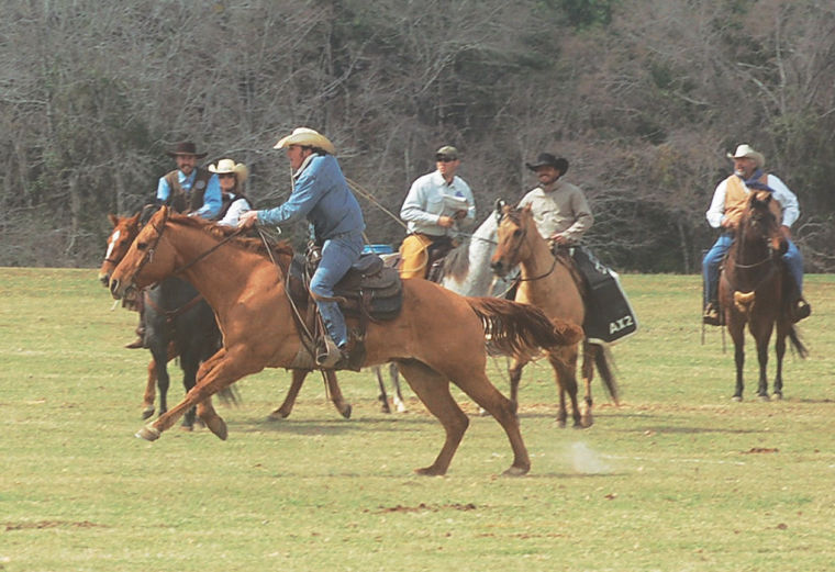 Western athletes compete at 1836 Chuckwagon Races | Local News ...