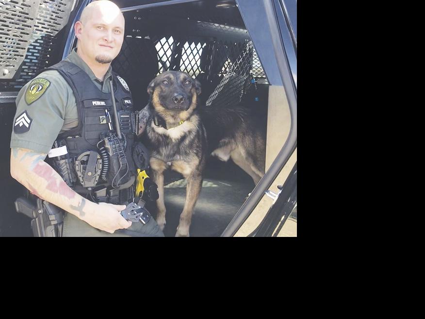 K-9 Officer Hondo reporting for duty | News | palestineherald.com
