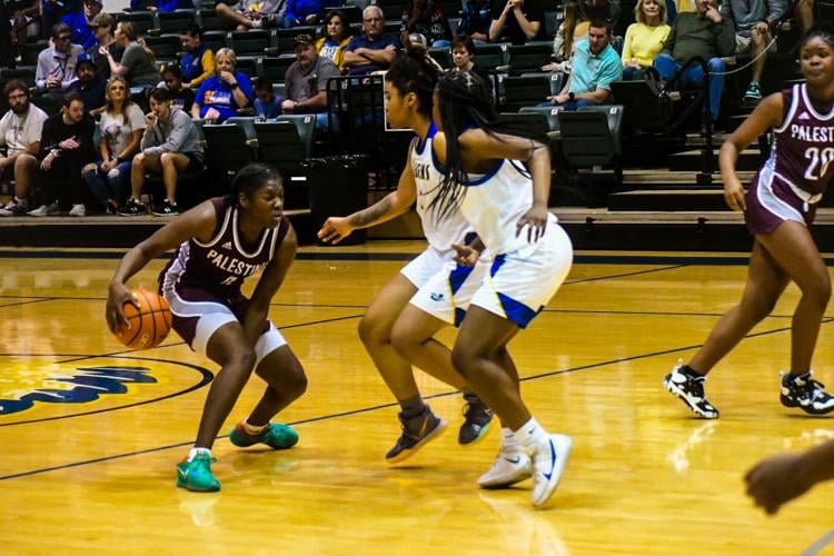 PHOTO GALLERY: Palestine Ladycats vs. Jacksonville Maidens | Sports ...