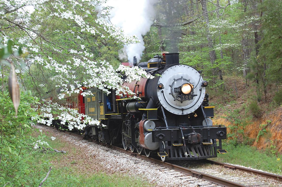 Texas State Railroad Authority Board approves contract with new ...