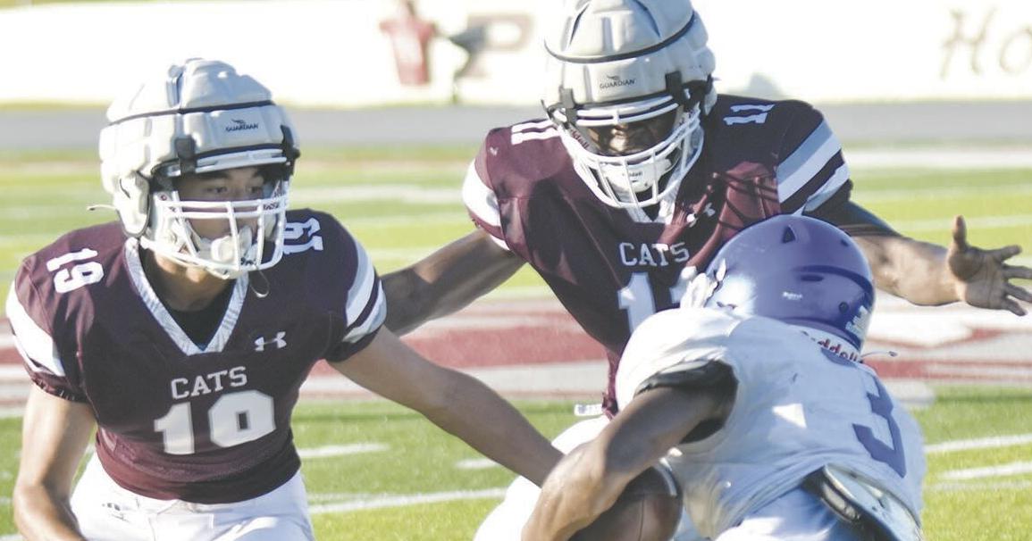 Palestine ready for talented Van Vandals | Sports | palestineherald.com