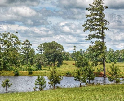 Neches River Refuge cancels Family Fun Day | News | palestineherald.com