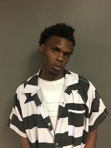 Fugitive caught after high-speed chase | News | palestineherald.com