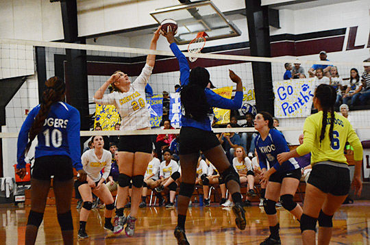 Oakwood volleyball collapses to Chester in region quarterfinal | Sports ...