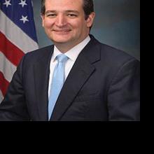 Ted Cruz doubles down on gun stance | News | palestineherald.com