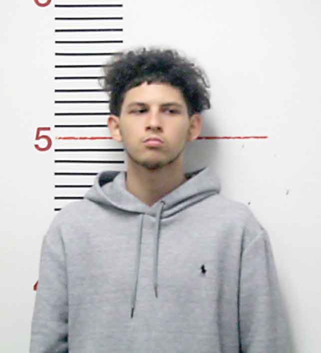 One shot, several arrested in Friday home invasion | News ...