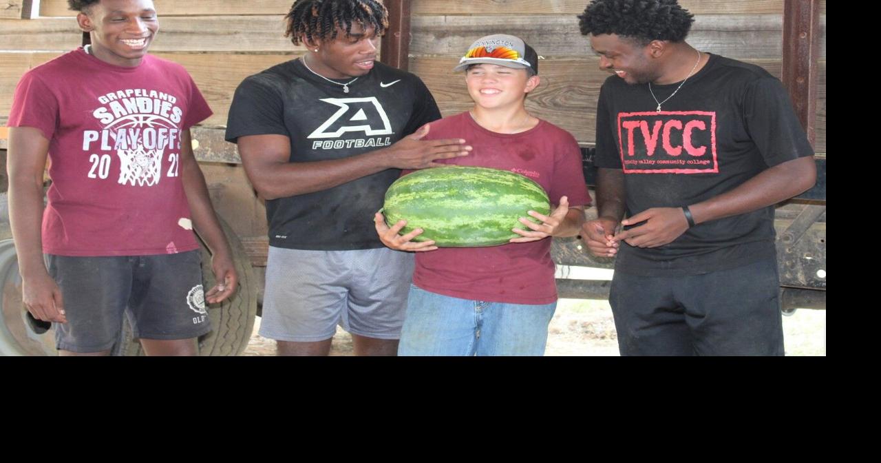 Officially summer: Pennington watermelons are ready | News ...