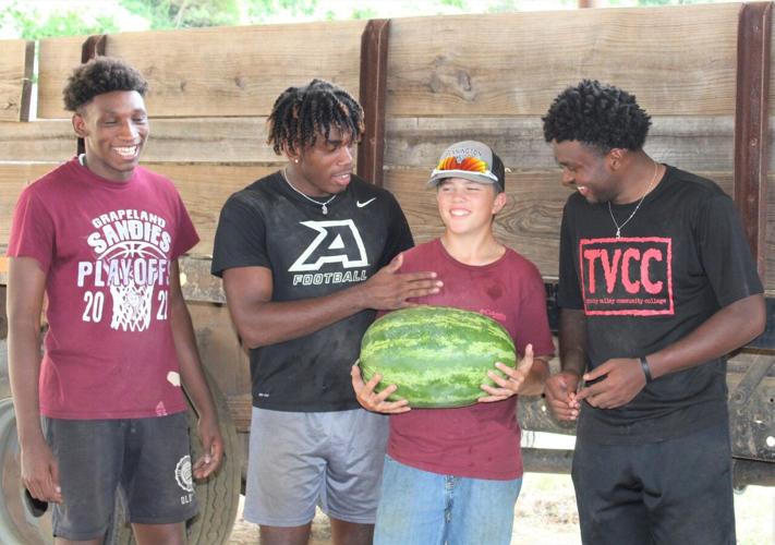 Officially summer: Pennington watermelons are ready | News ...