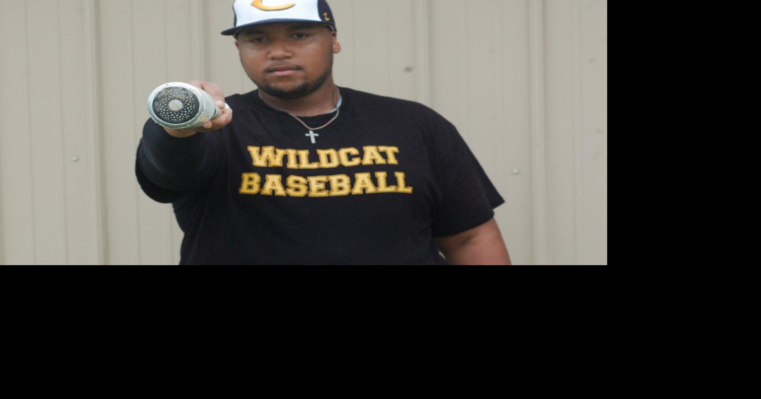 Jayson Johnson brings the hits for Cayuga baseball | Sports ...