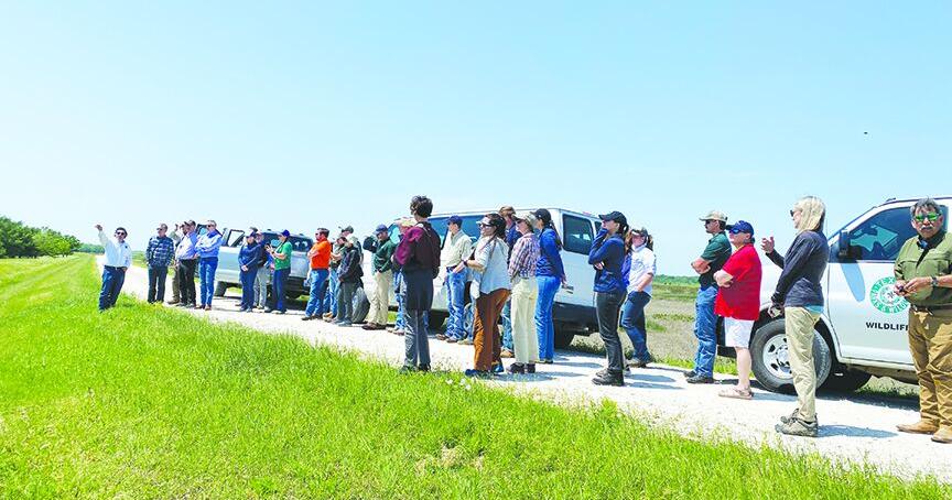 TPWD acquires first new East Texas Wildlife Management Area in nearly ...