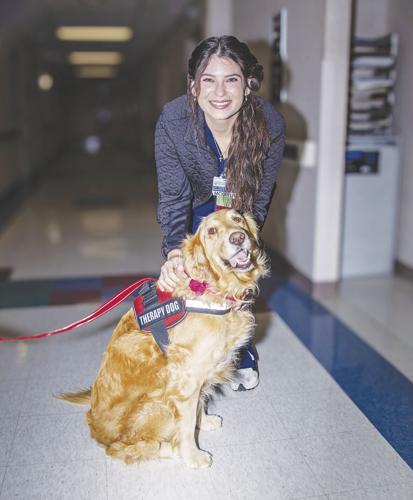Therapy dog provides comfort for PRMC patients, staff | News ...
