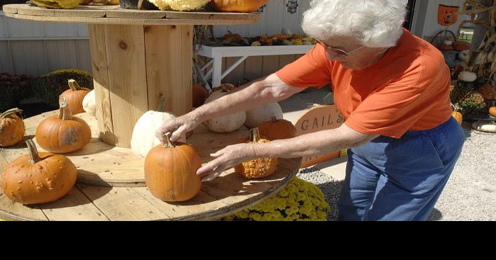 Pumpkins larger, heavier this year