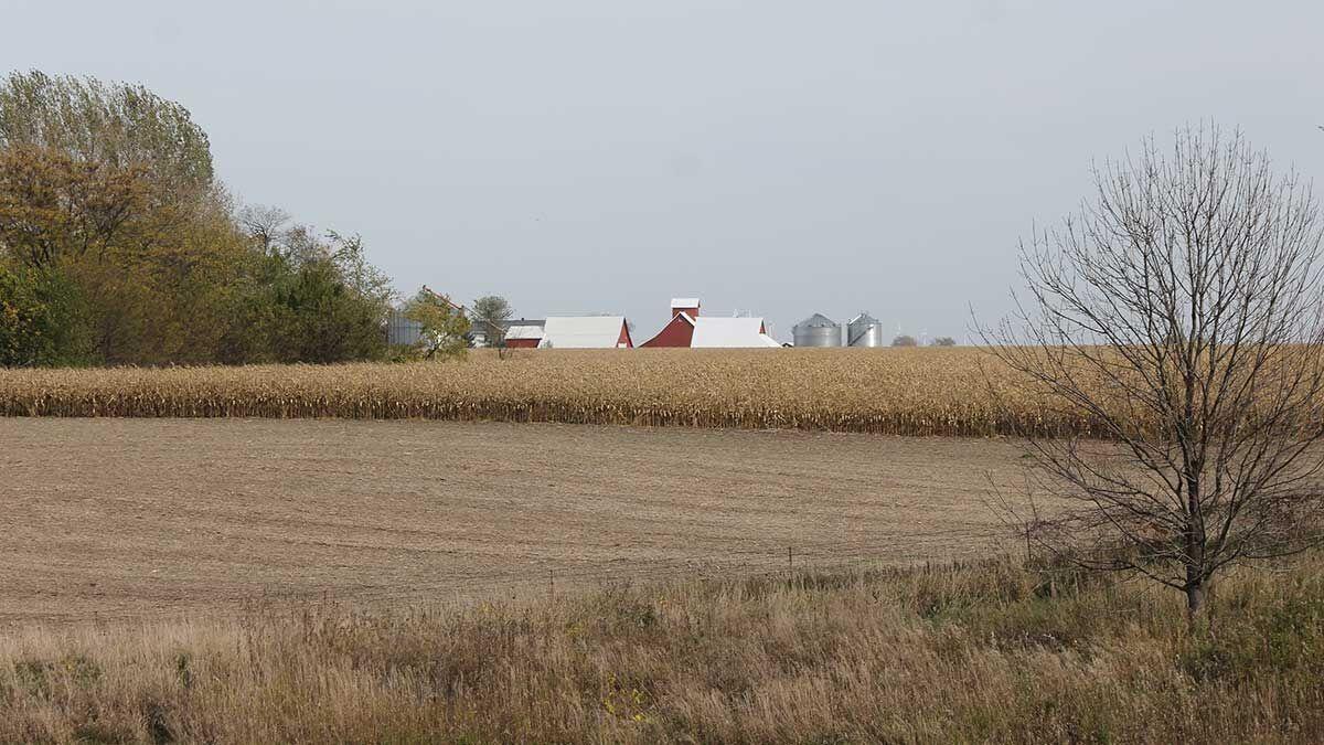 Midwest farmland values up double digits again