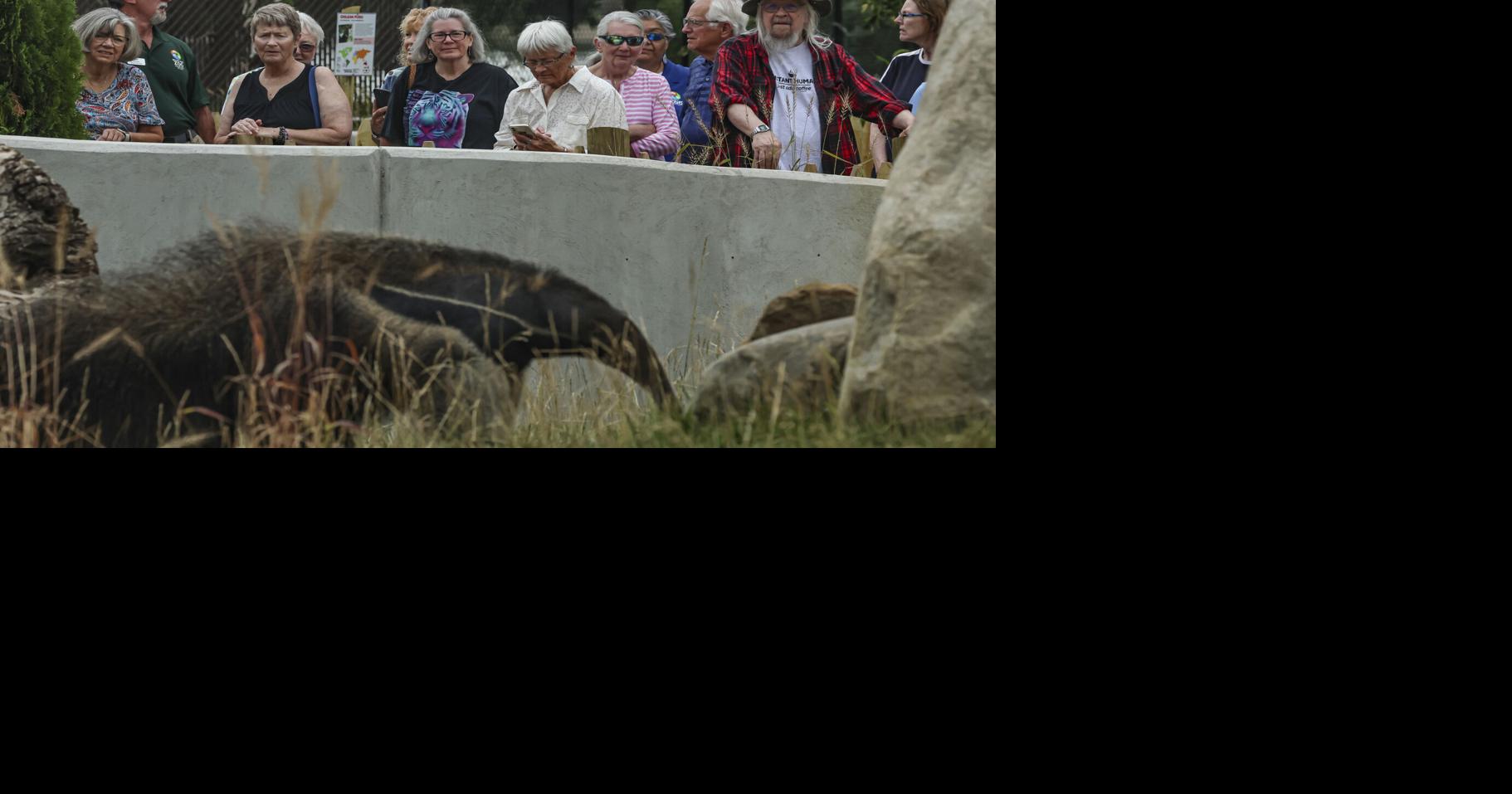 Miller Park Zoo plans active senior tours in Bloomington