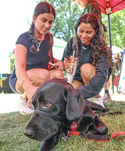 Photos: Festival ISU 2025