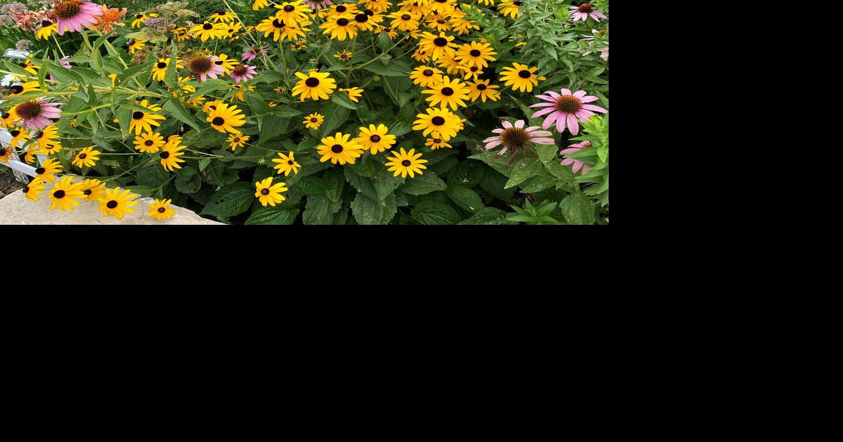 Plant propagating workshop planned Oct. 5 in Pontiac