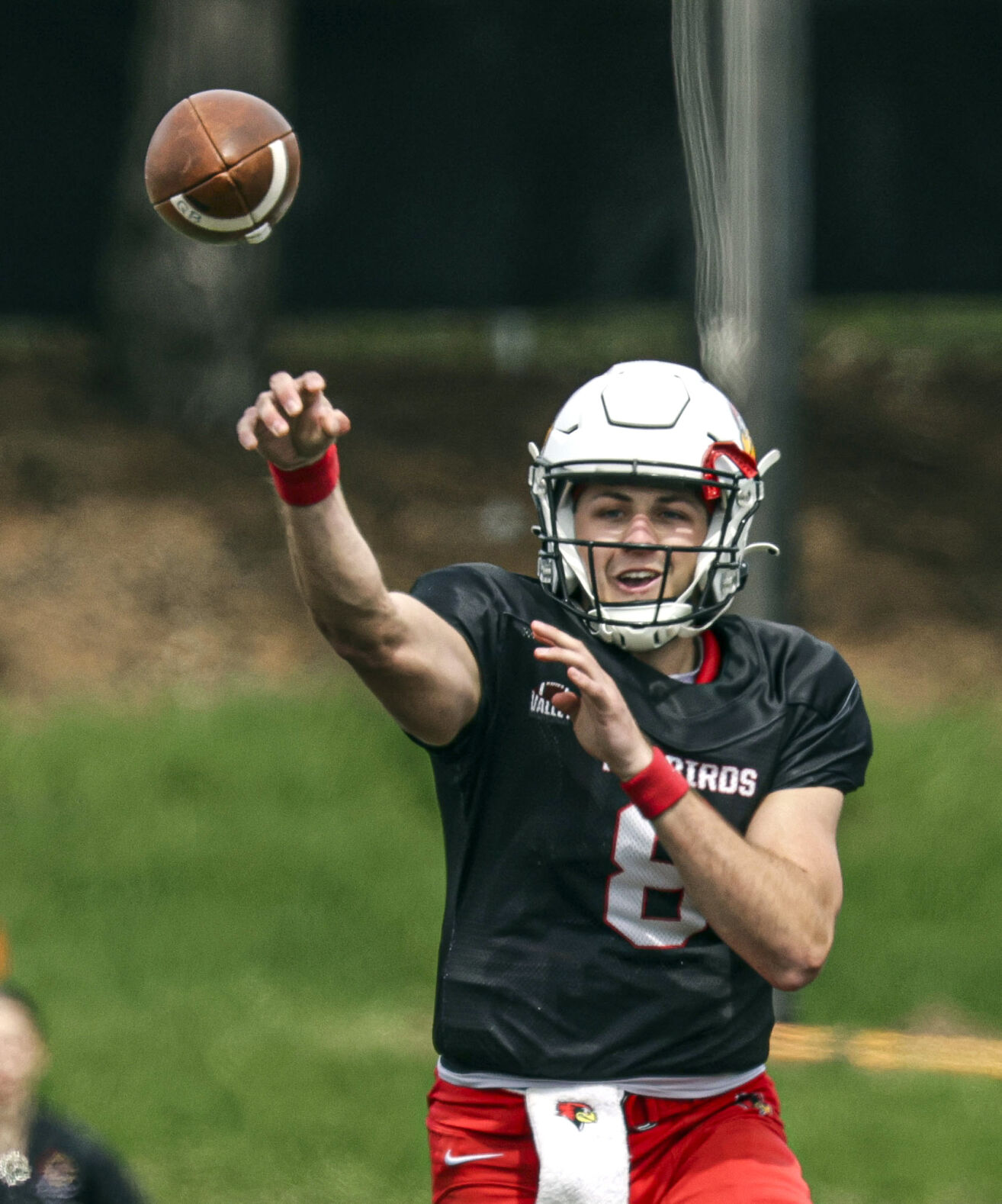 Lofton, Hall have big days on the ground as Illinois State wraps up ...