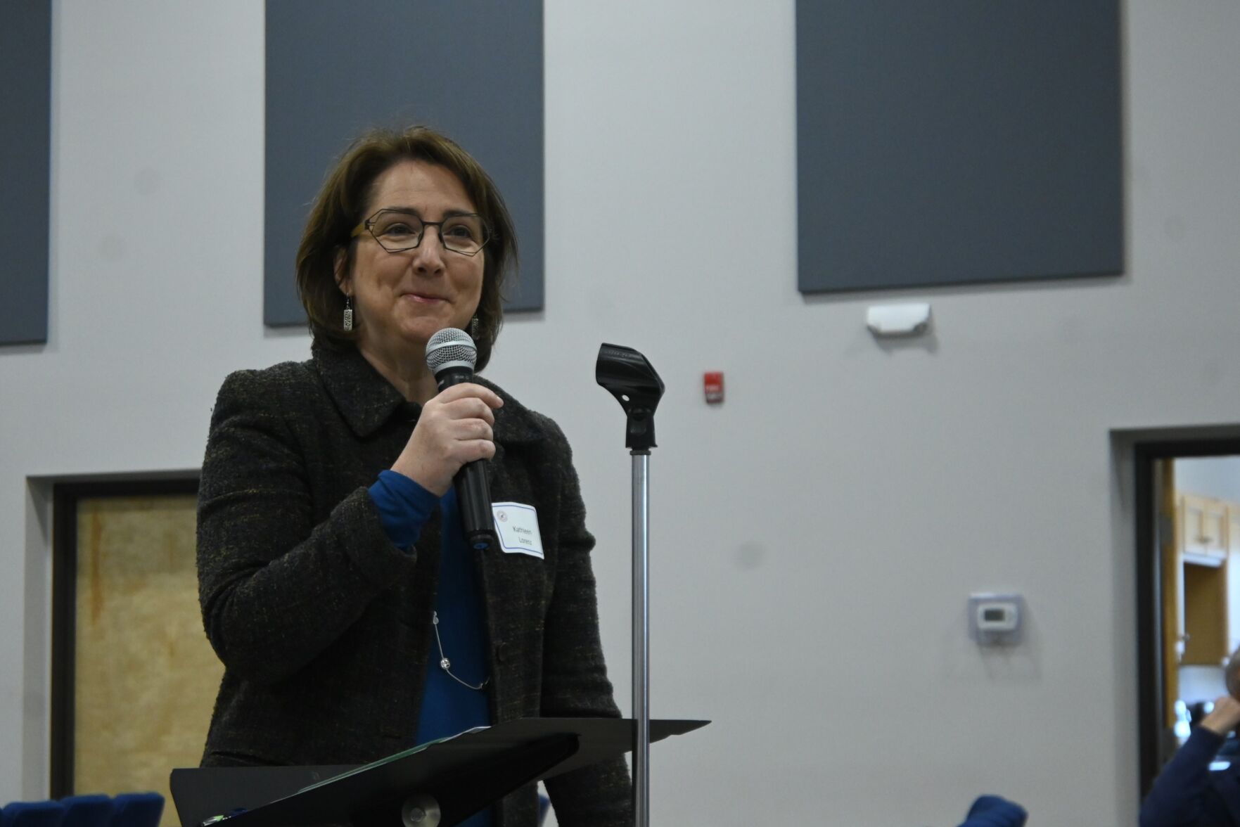 Bloomington-Normal mayor hopefuls speak at forum