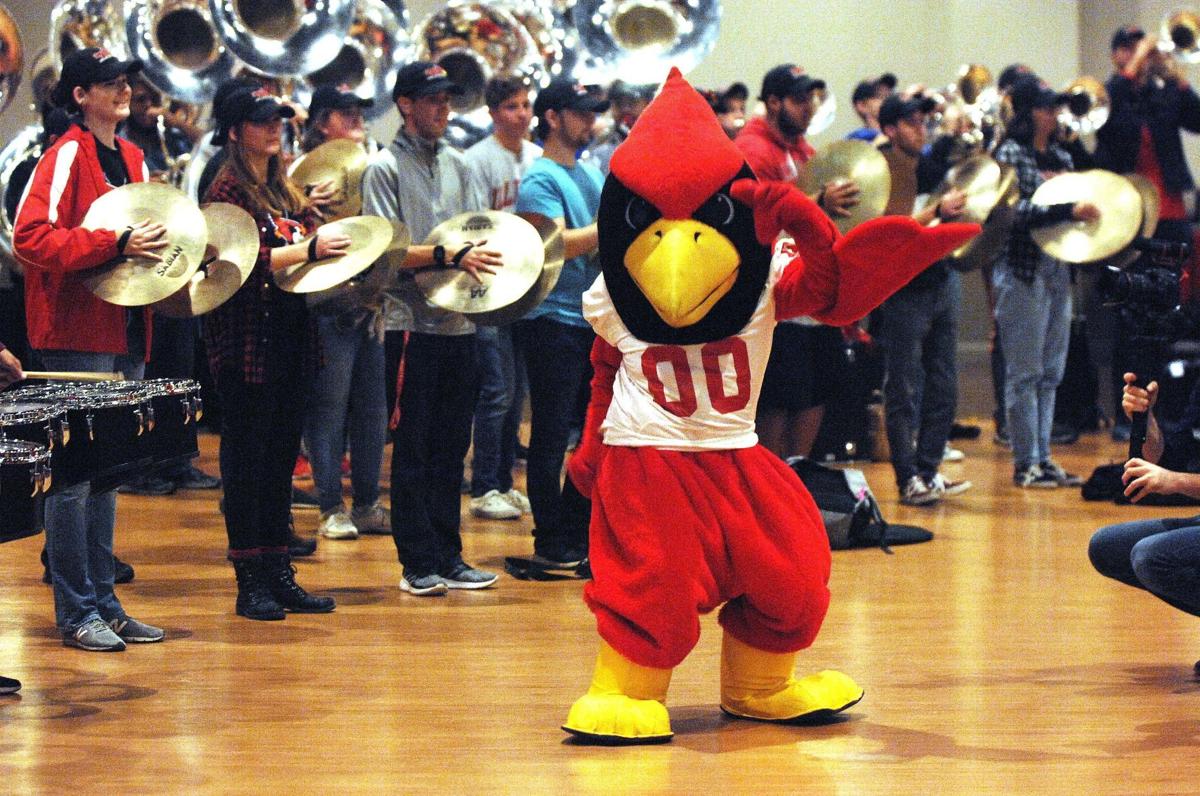 Flick Fact: So why is he called 'Reggie Redbird'? | Local News ...