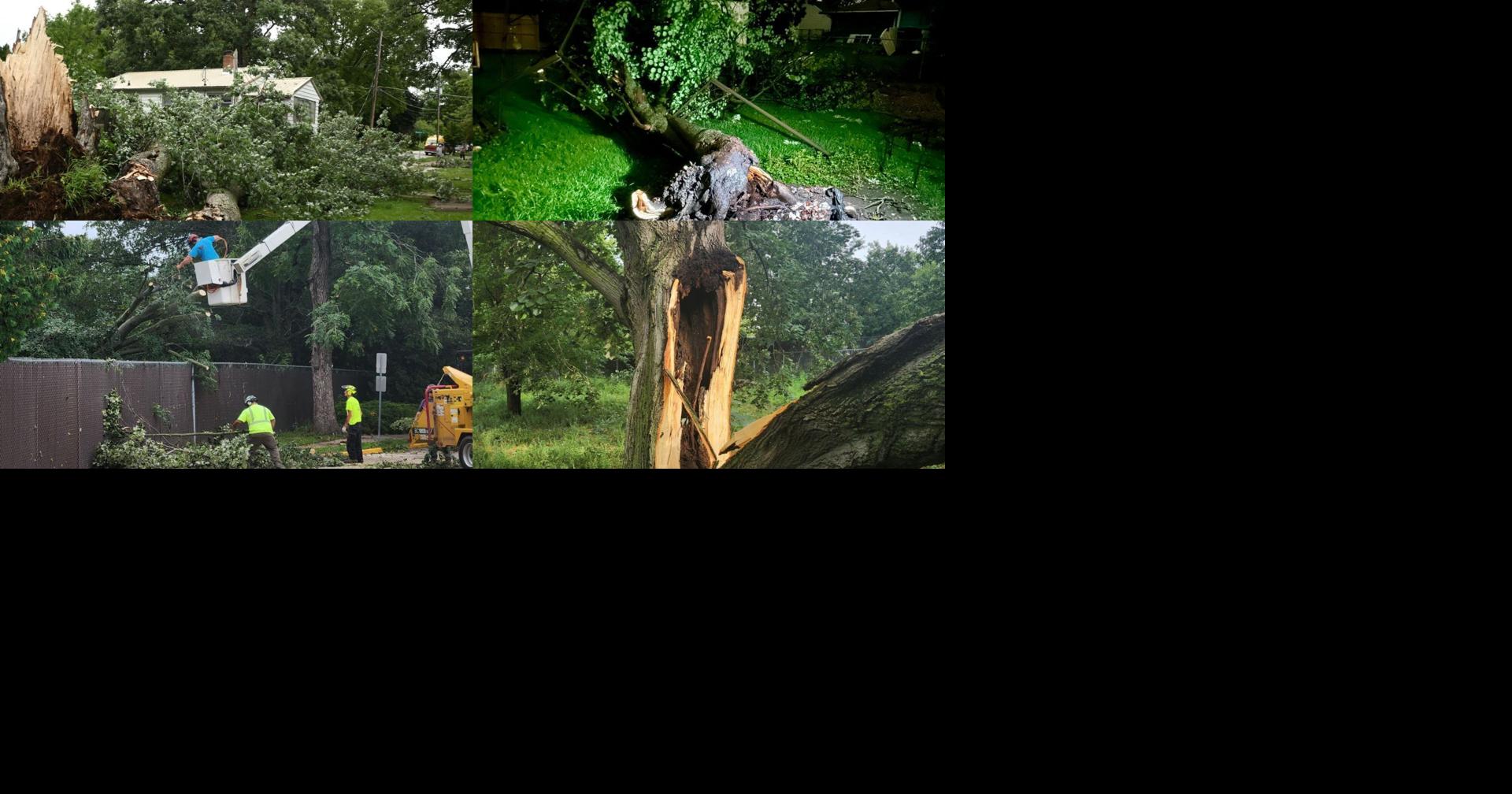 Storms leave damage, outages through Central Illinois