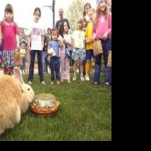 Zoo's giant rabbit Bunzilla dies