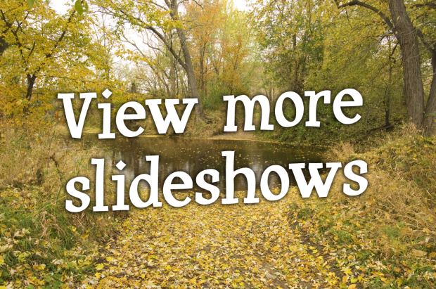Slideshow: 10+ upcoming fall festivals