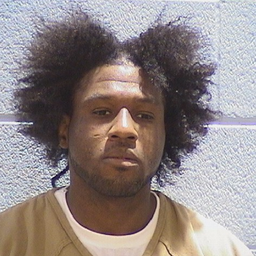 Illinois parole official quits after police say a freed felon attacked ...