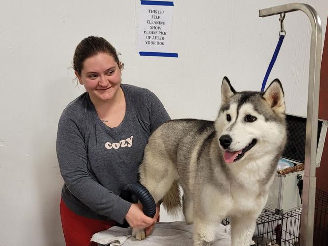 Bloomington welcomes more than 800 dogs to Heart of Illinois Cluster ...