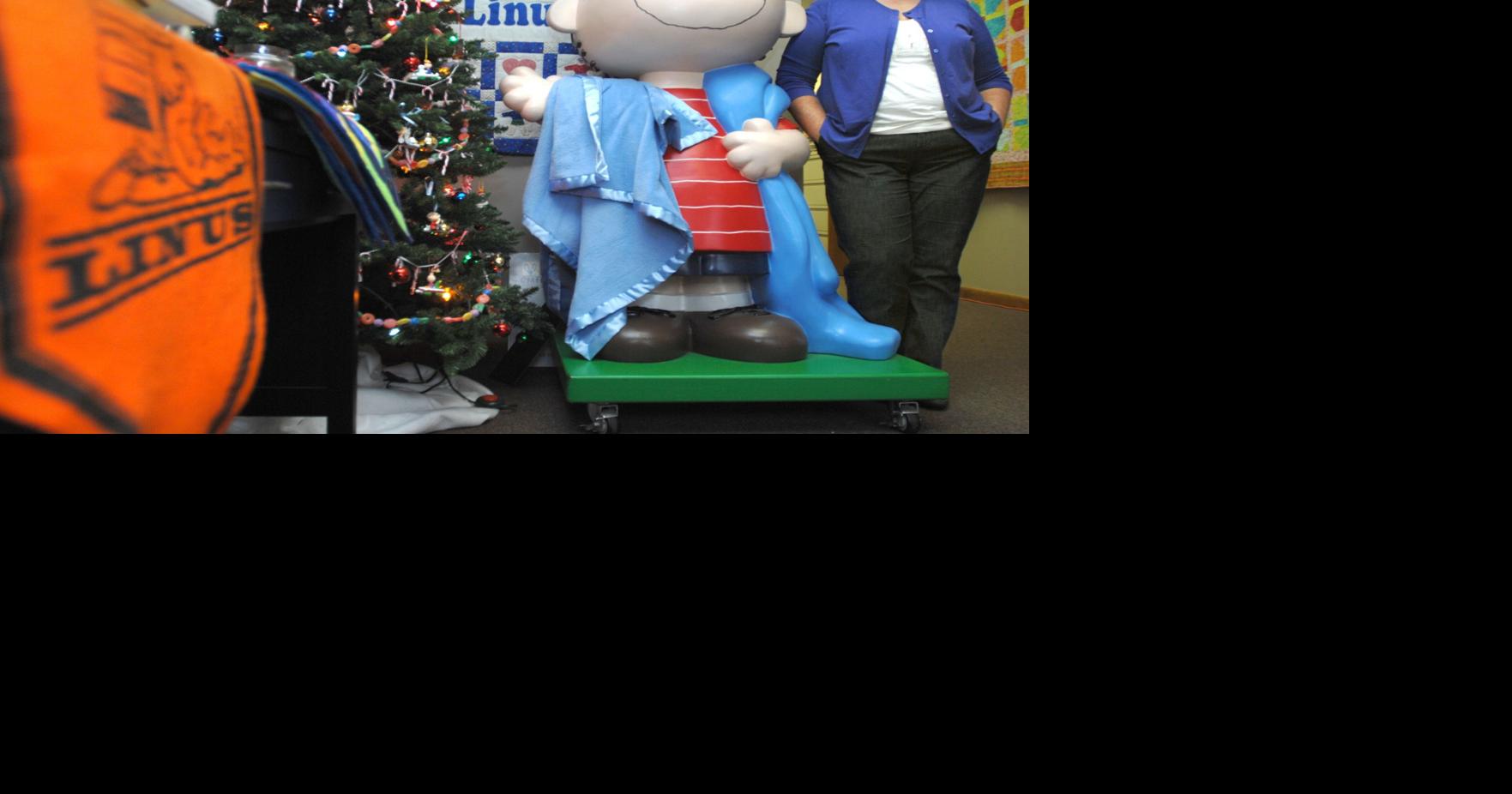 Prosecutors: Former McLean County woman stole $400,000 from Project ...